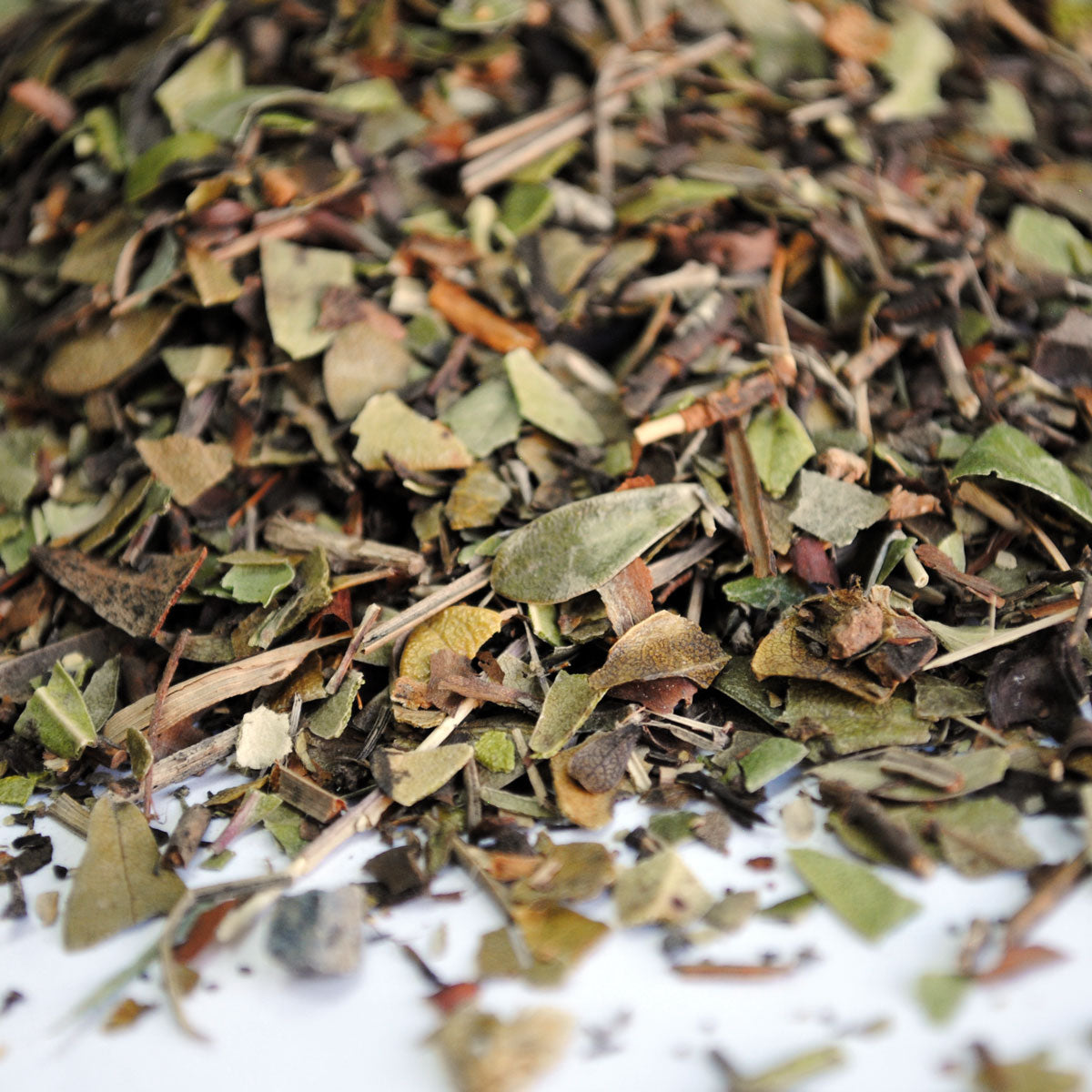 PLANTA MEDICINAL HOJA GAYUBA – Alborasur
